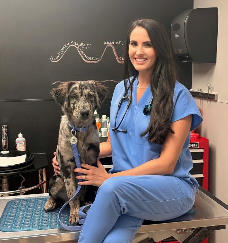 Best Veterinary Clinic In Miami, FL | Sunset Animal Clinic