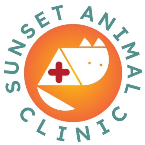 Best Veterinary Clinic In Miami, FL | Sunset Animal Clinic