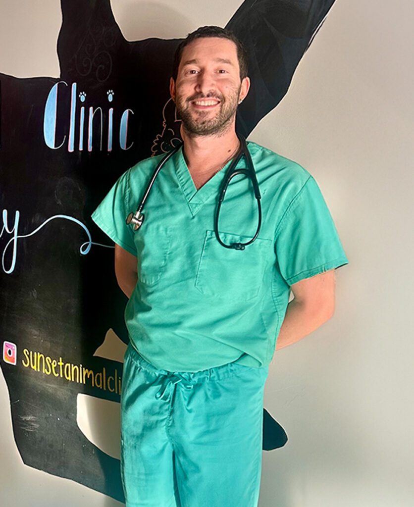 Best Veterinary Clinic In Miami, FL | Sunset Animal Clinic